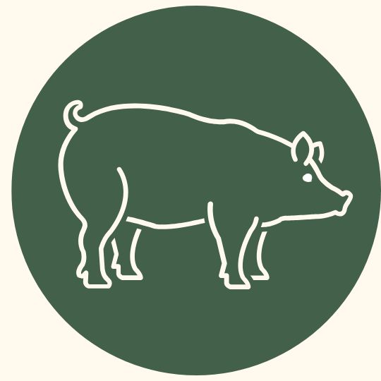 Paddock Grown Pork – Paddock To Table