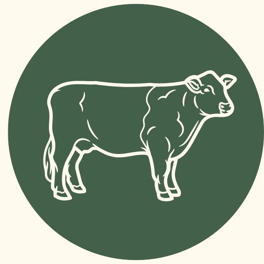 Grass Fed Beef - Slow Cooked – Paddock To Table