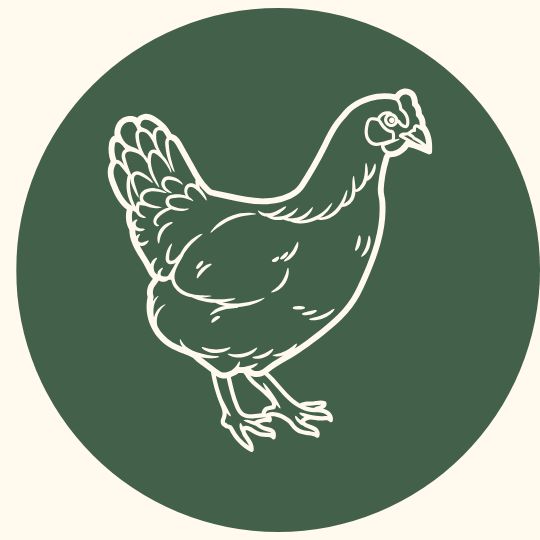 Free Range Chicken – Paddock To Table