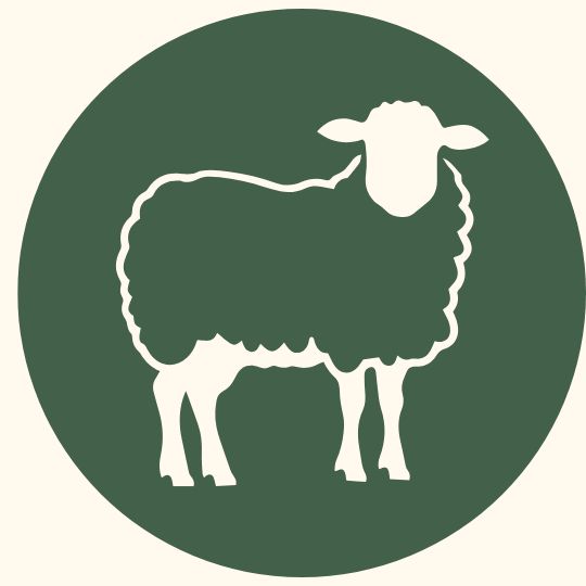 Grass Fed Lamb - Roasts – Paddock To Table