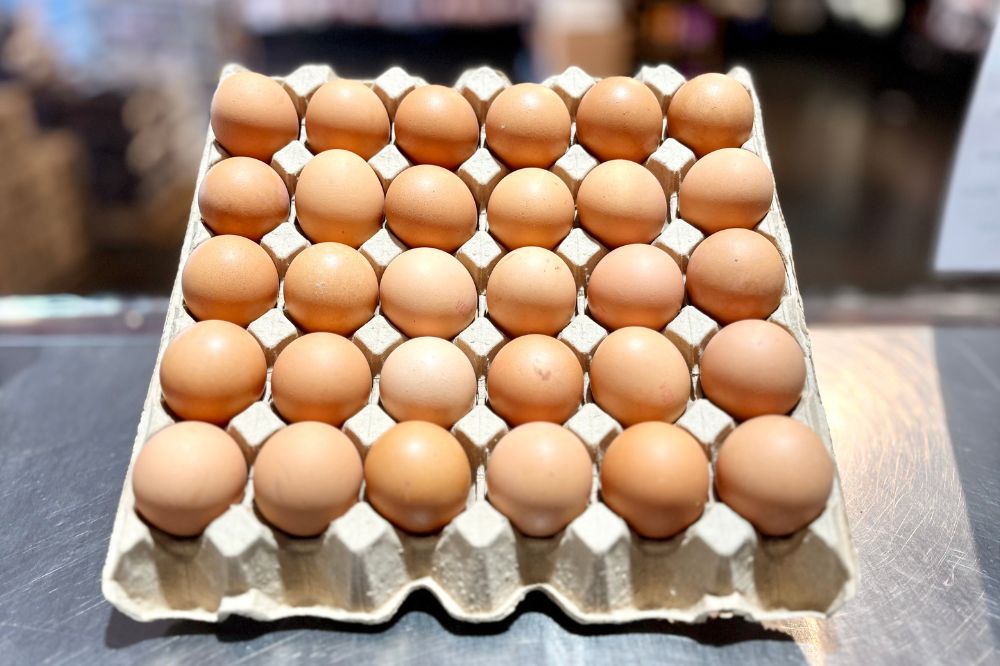 Grocery - Egg Trays – Paddock To Table